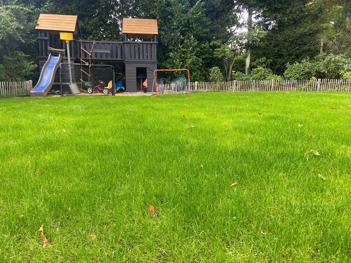 Urban Hybrid in the Netherlands