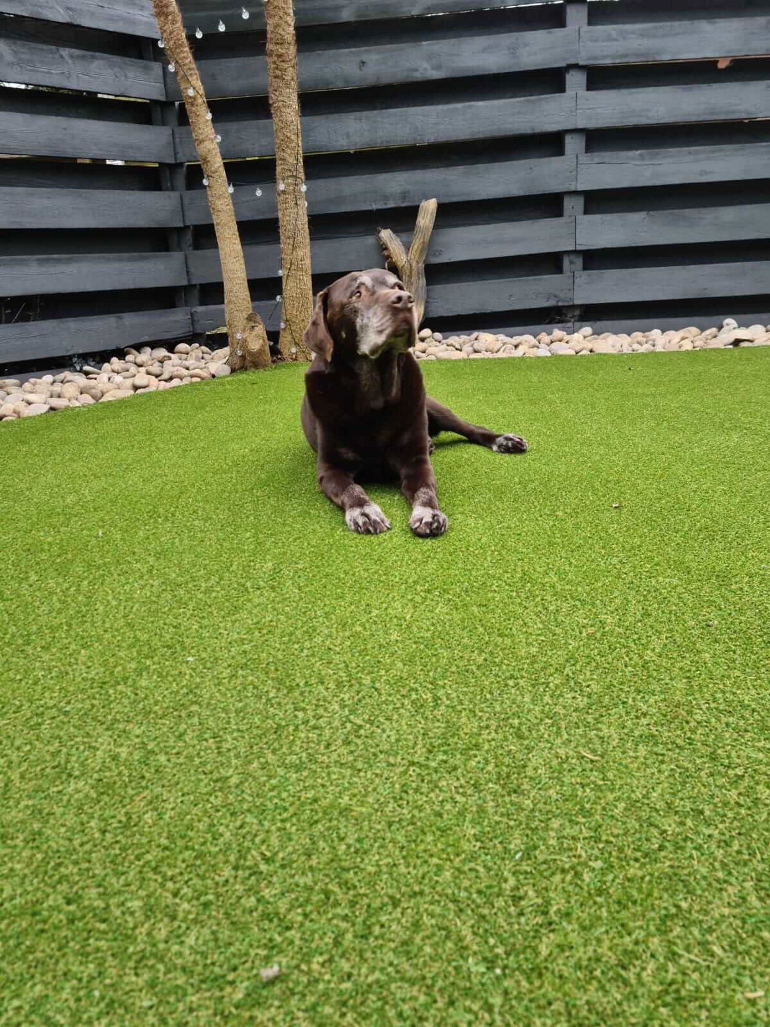 Installing Petgrass in Great Britain